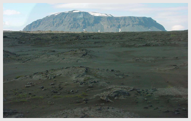 About the project | PTAL